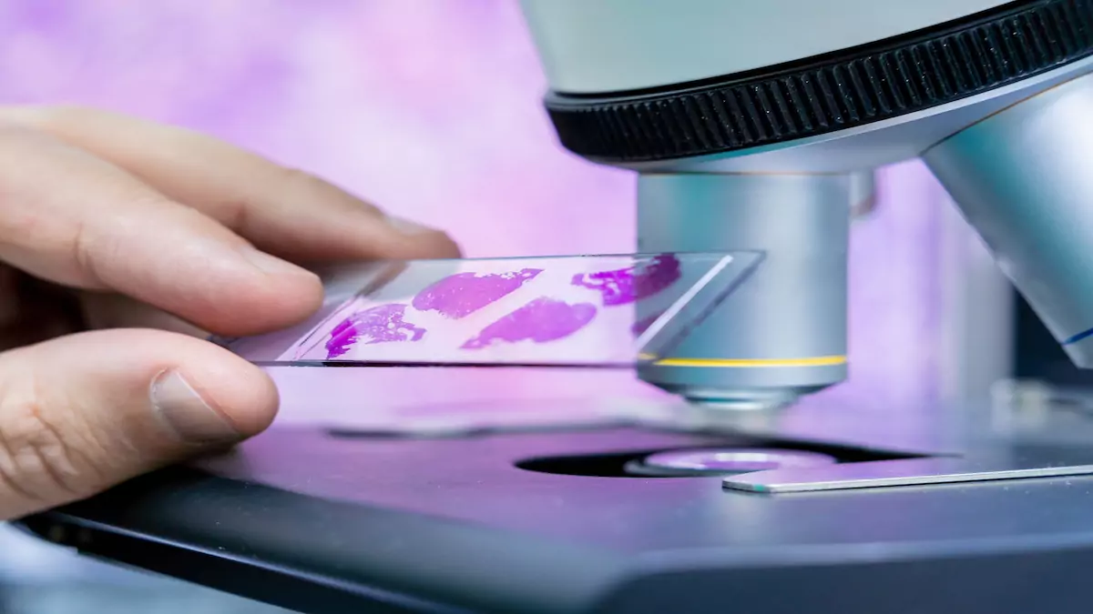 Citologia: Entenda como funciona o estudo das células!